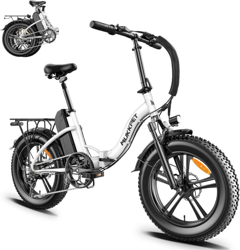 15 Pros & Cons of The BAOLUJIE Electric Bike [Review 2025]